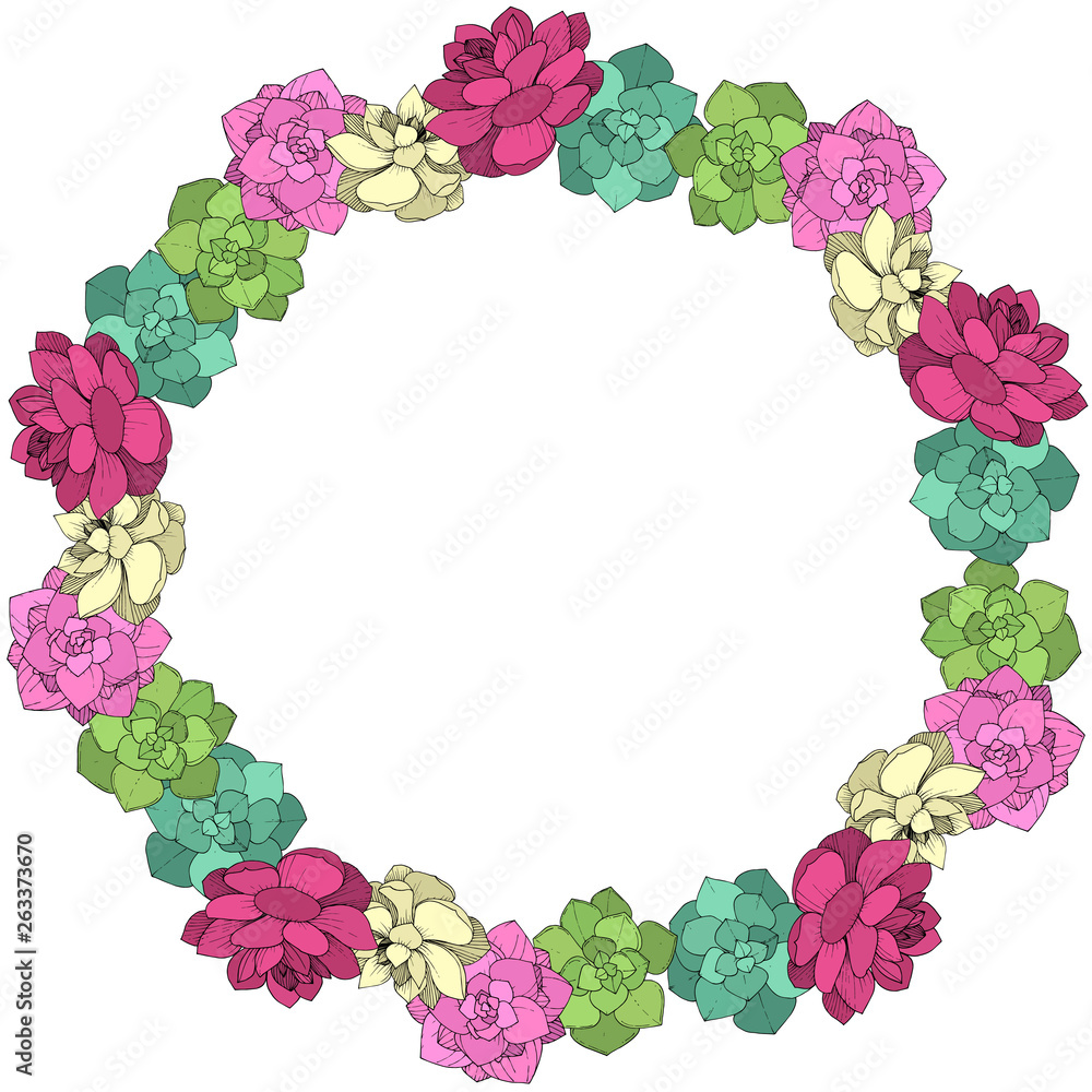 Vector Succulents floral botanical flower. Engraved ink art on white ...