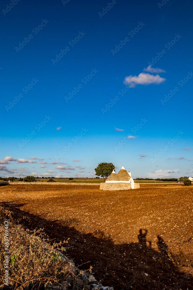 Landscape with typical amazing architecture of truli in the brown soil ...