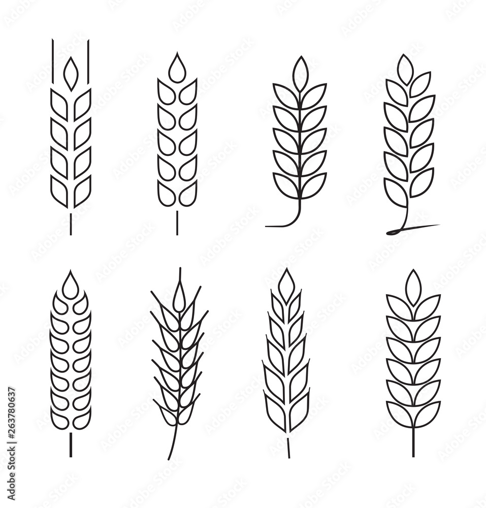 Wheat grains of different shapes set. A set of icons ready to use in ...