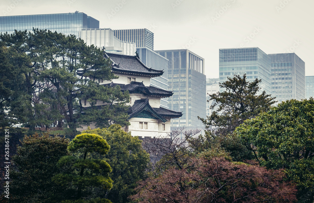 Fujimi yagura turret of Chiyoda Castle at Imperial Palace area with ...