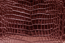 Red Crocodile Skin Background Free Stock Photo - Public Domain Pictures