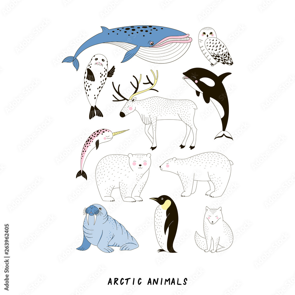 Arctic Animale vector set. Polar Bear Walrus Penguin Narwal Seal ...