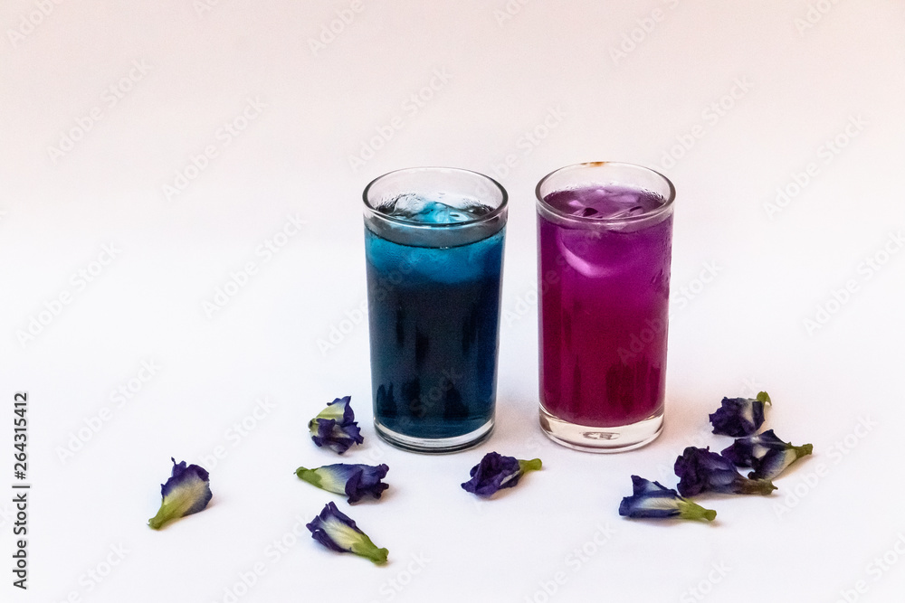 Butterfly Pea Flower tea made from the Clitoria ternatea plant. The ...