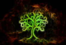 Magic Roots Free Stock Photo - Public Domain Pictures