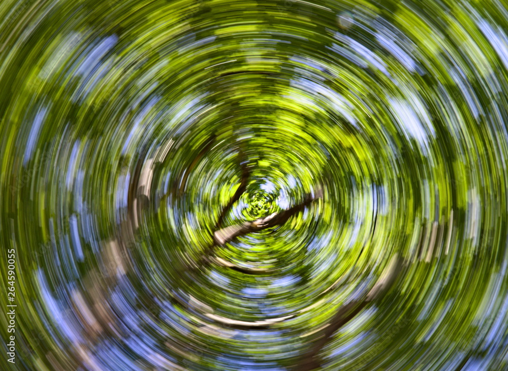 Blurry spinning view from the bottom of trees, green leaves with a ...