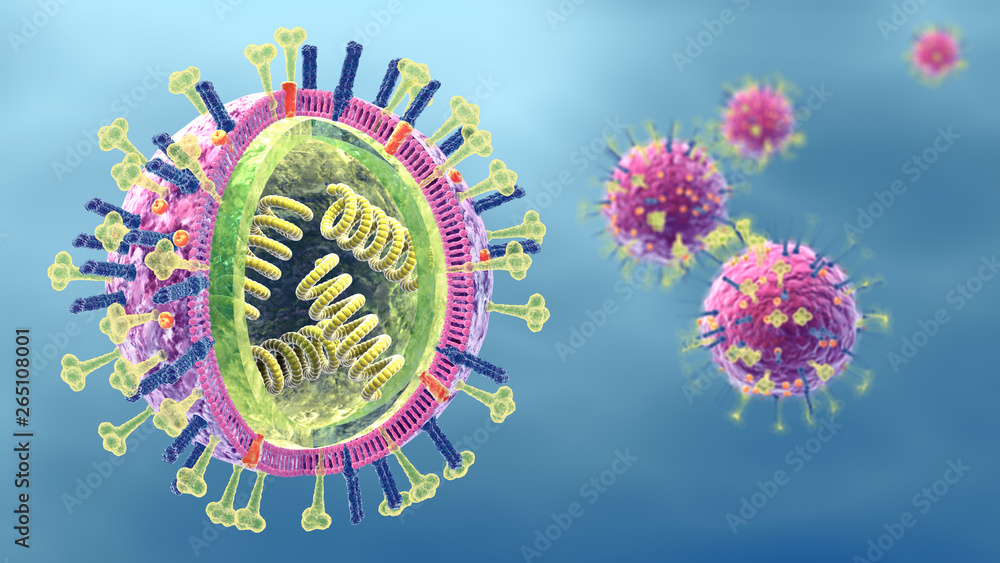 Flu. Influenza viruses with RNA, surface proteins hemagglutinin and ...