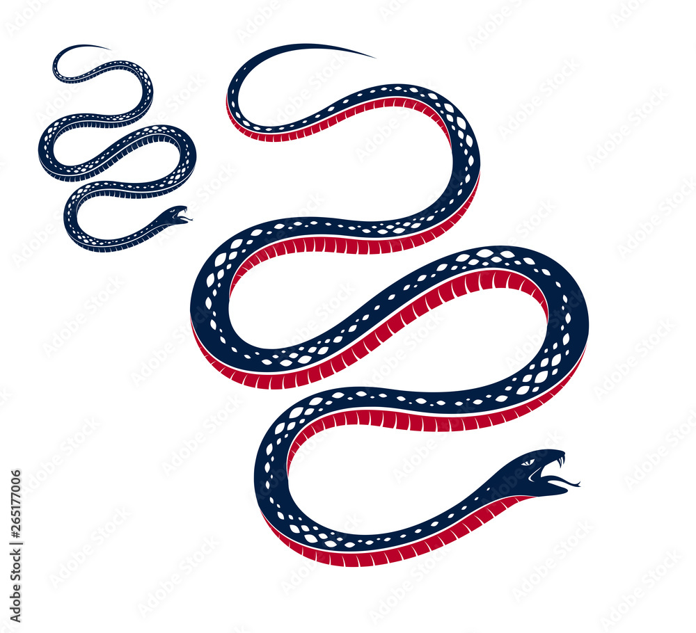 Venomous snake vintage tattoo, vector drawing of aggressive predator ...