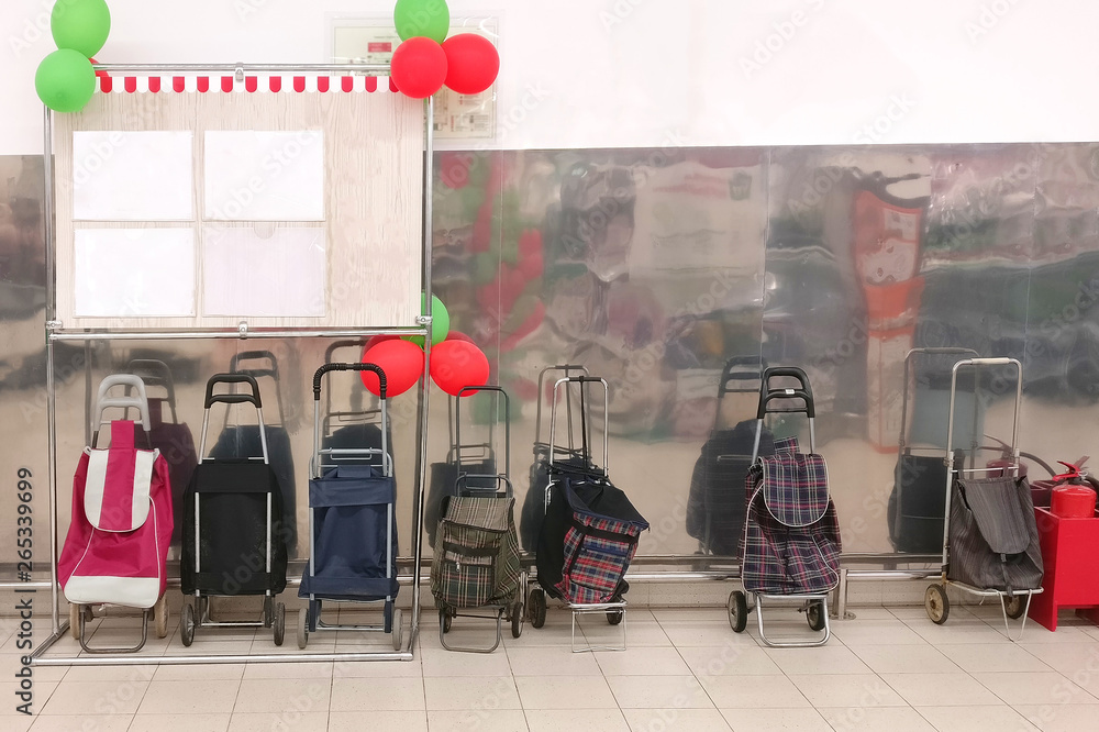 Bags on wheels in the supermarket store. Trolley-bag for grandmothers ...