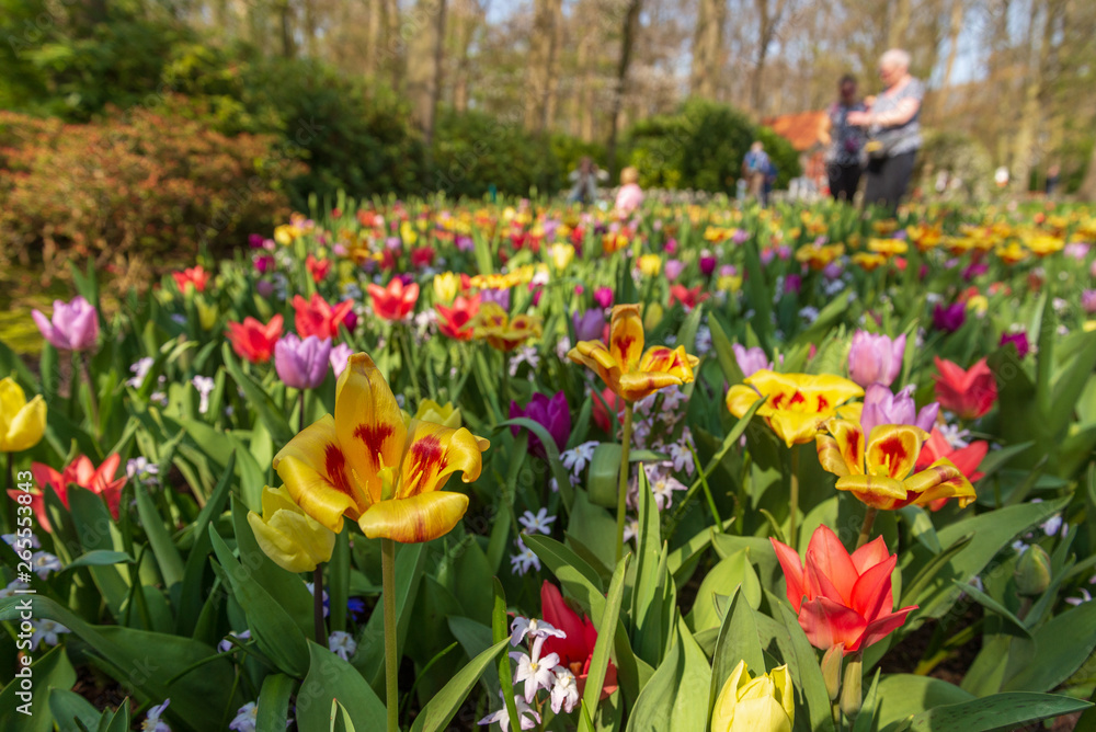 Beautiful outdoor sunny view of foreground colourful picturesque vivid ...