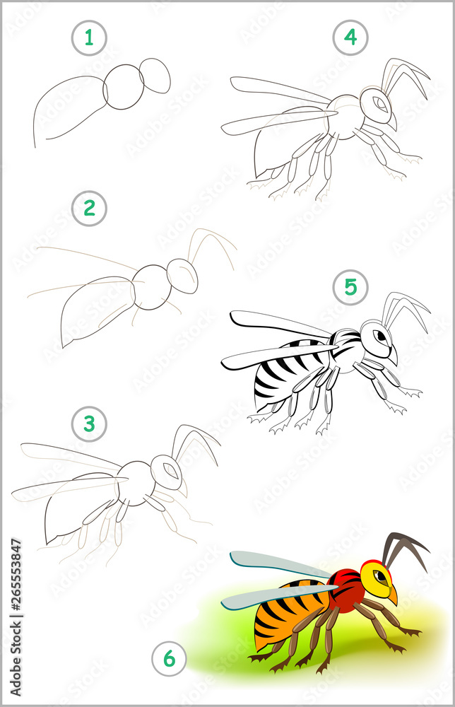 Educational page for kids shows how to learn step by step to draw a ...