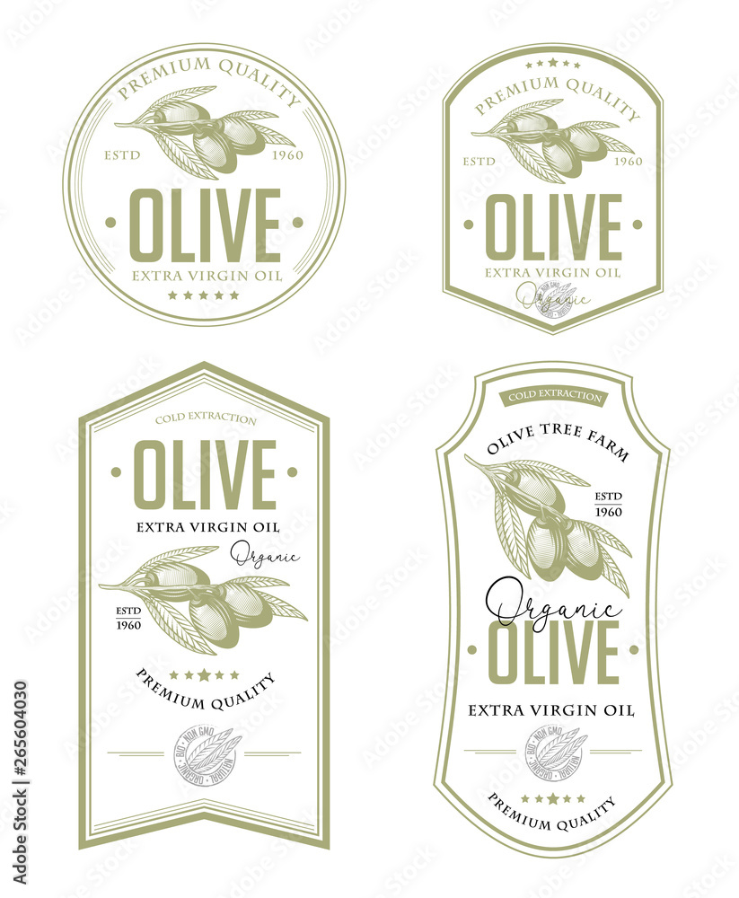 Olive oil badge label design set. Vector hand drawn illustration of ...