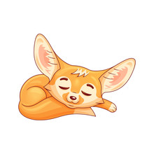 Fennec Fox Free Stock Photo - Public Domain Pictures