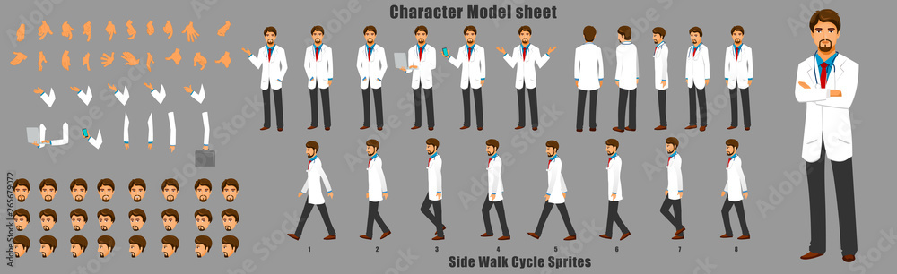 Doctor Character Model sheet with Walk cycle Animation Sequence Stock ...