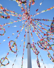 Maypole Celebration Free Stock Photo - Public Domain Pictures