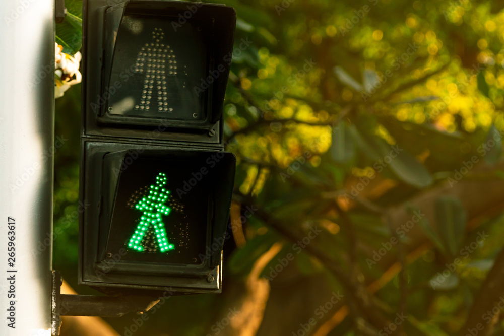Pedestrian signals on traffic light pole. Pedestrian crossing sign for ...