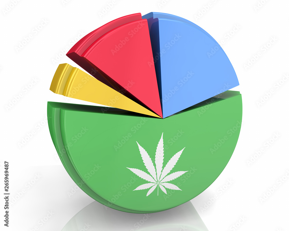 Marijuana Weed Pot Cannabis Person Choose Yes No 3d Illustration Stock ...