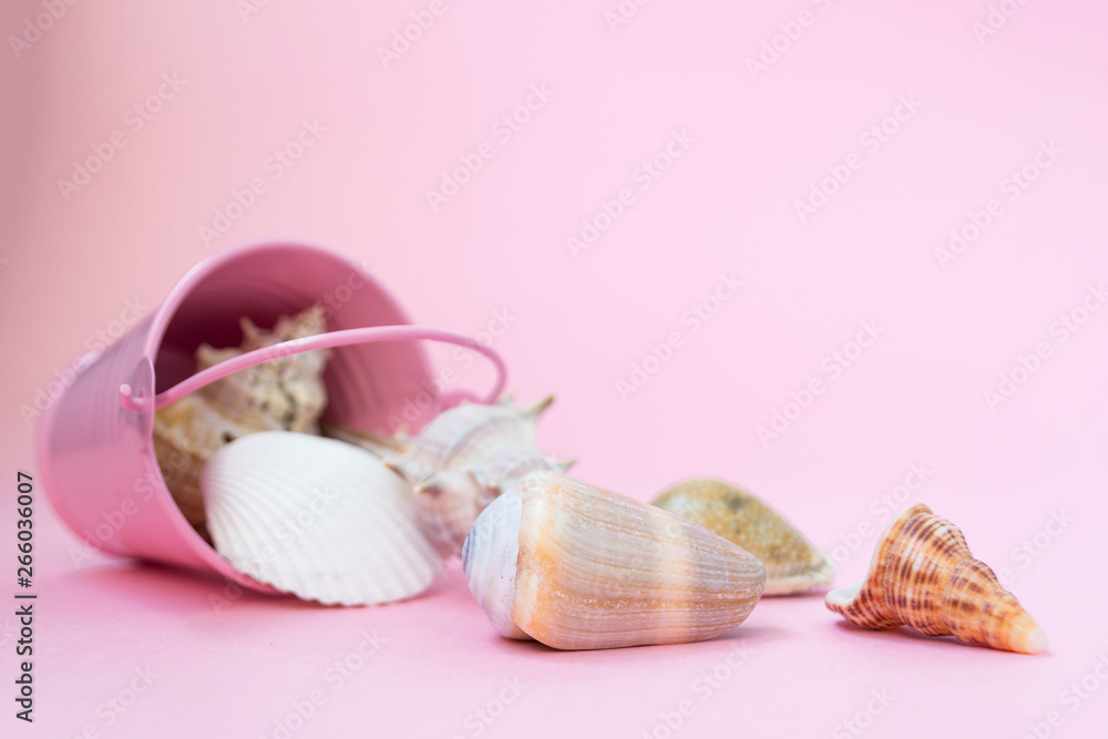 Sea shells of various sizes are scattered from a pink bucket on a pink ...