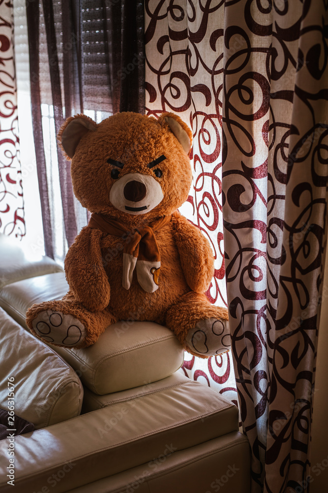 Very bad teddy bear plans his revenge Stock Photo | Adobe Stock
