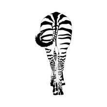 Backside Of A Zebra Free Stock Photo - Public Domain Pictures