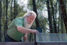 Posterization Ping Pong Free Stock Photo - Public Domain Pictures