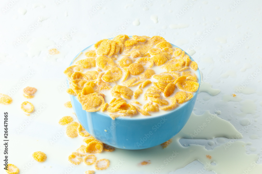 Cornflakes dry breakfast with milk. The blue plate is full of cereal ...