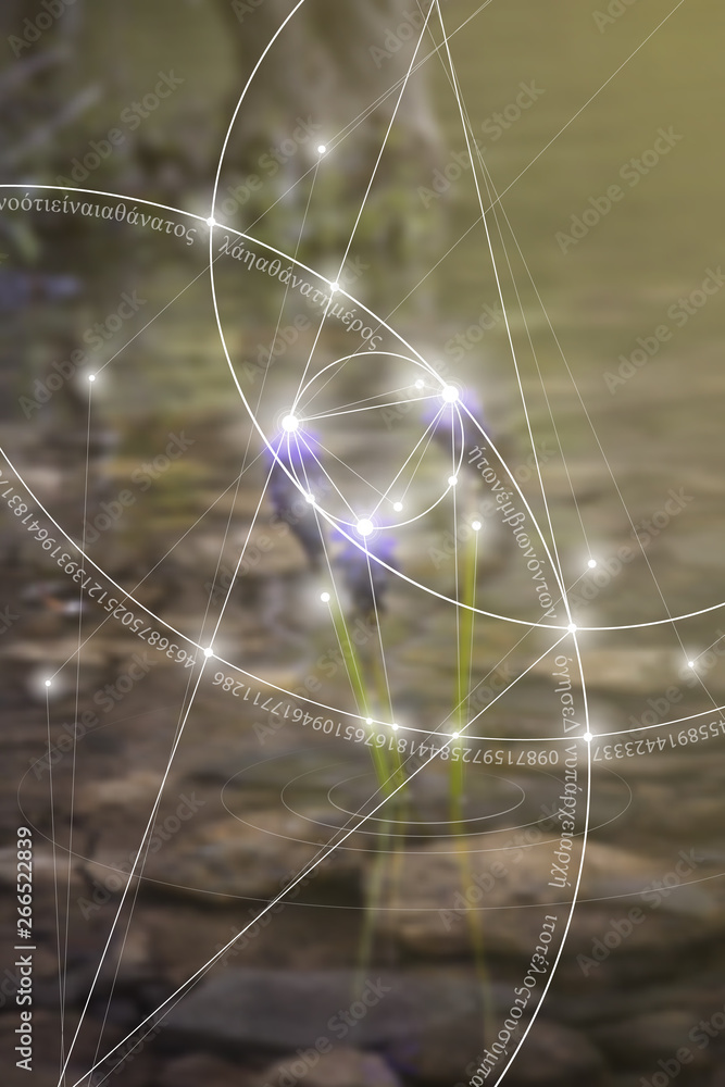 Sacred geometry art with golden ratio numbers, interlocking circles ...