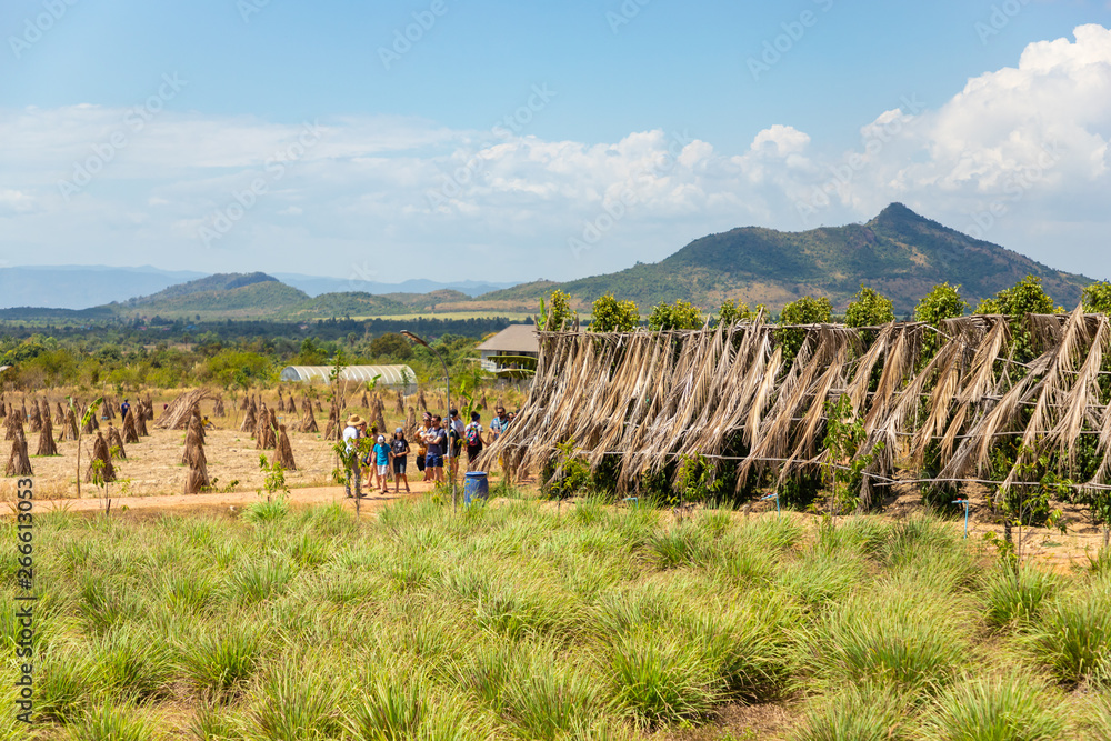 KAMPOT / CAMBODIA - FEBRUARY 18, 2019: Tourists with guide on the ...