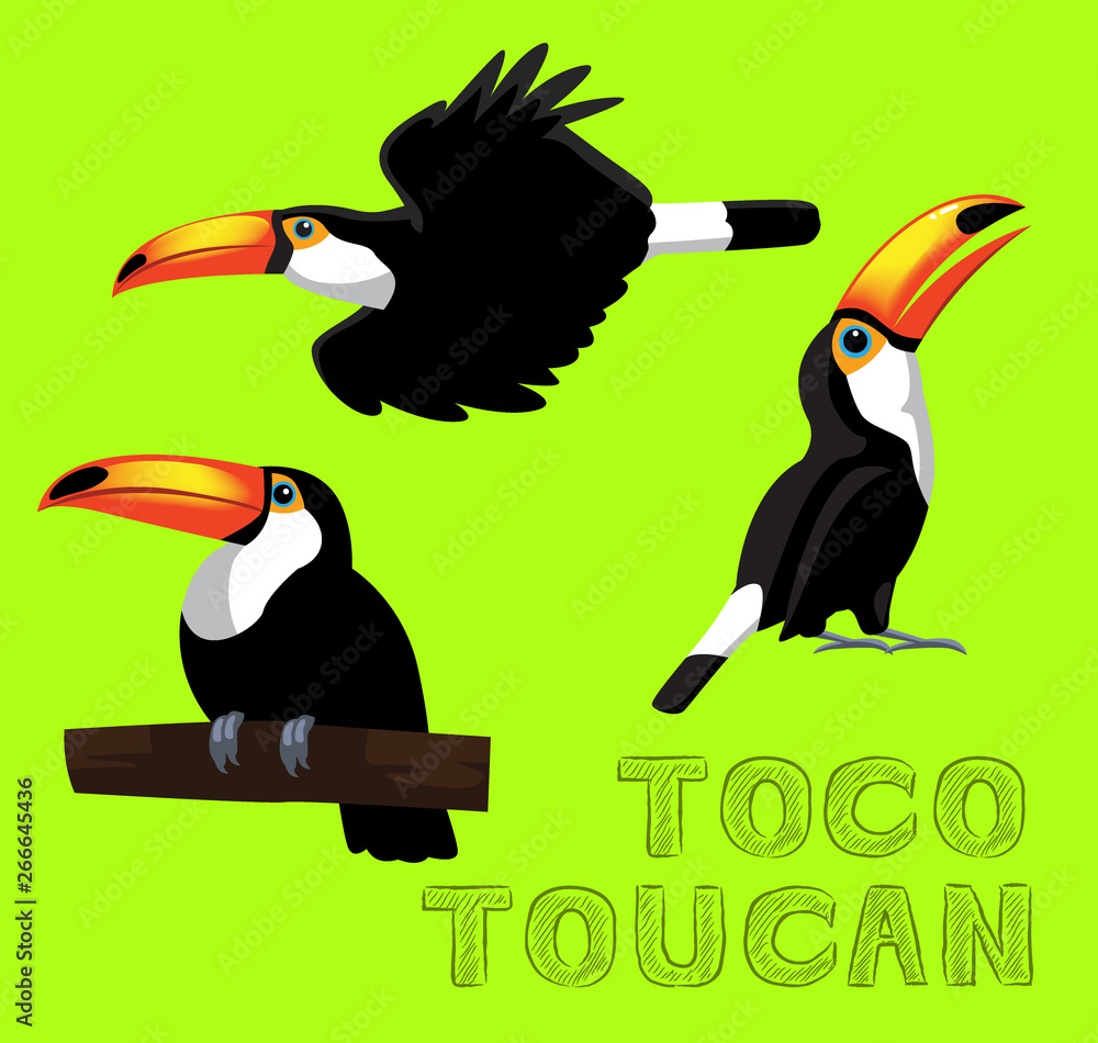 Bird Toco Toucan Cartoon Vector Illustration Stock Vector | Adobe Stock