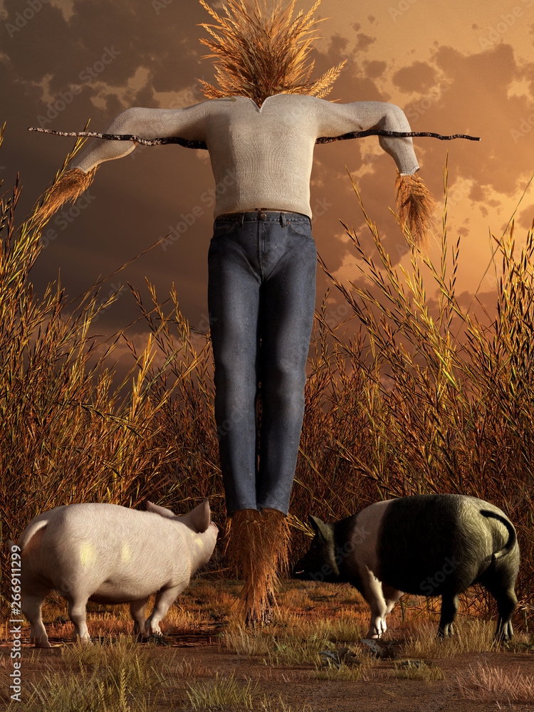Two pigs in a wheat field look up at a scarecrow. These farm animals ...