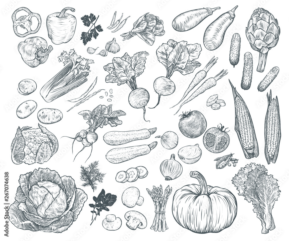 Hand drawn fresh vegetables set. Template for your design works ...