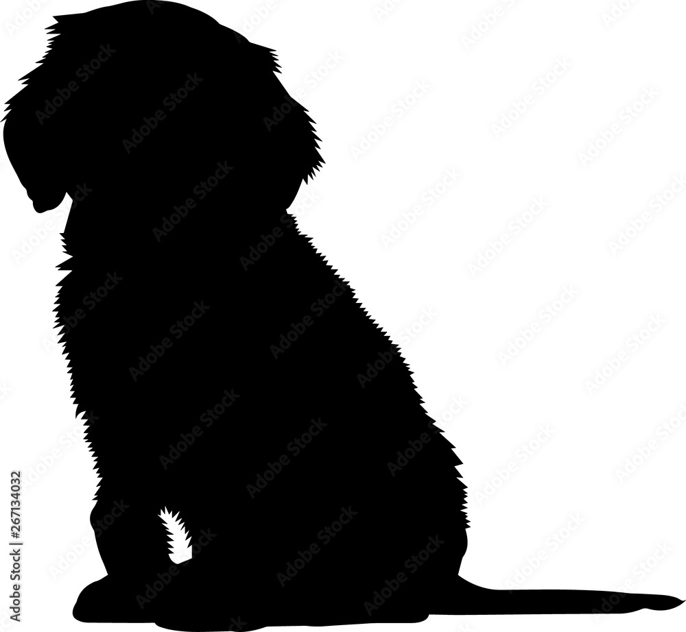 Cockapoo 10 isolated vector silhouette Stock Vector | Adobe Stock