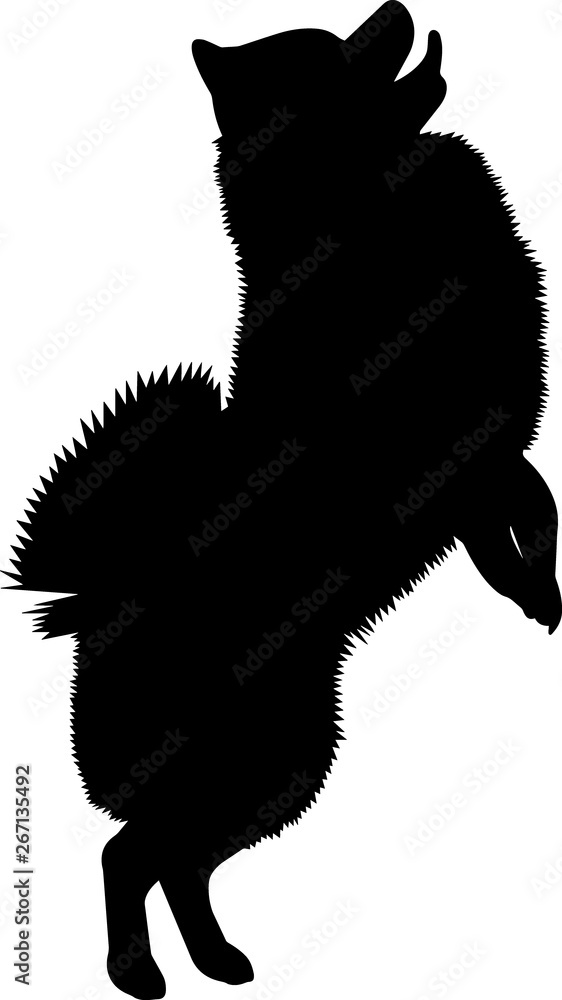 Pomeranian 10 isolated vector silhouette Stock Vector | Adobe Stock