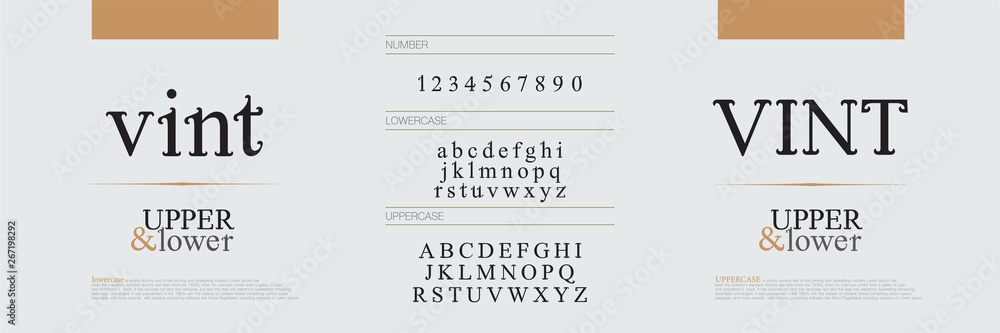 Elegant alphabet letters fonts set. Exclusive letters corporate ...
