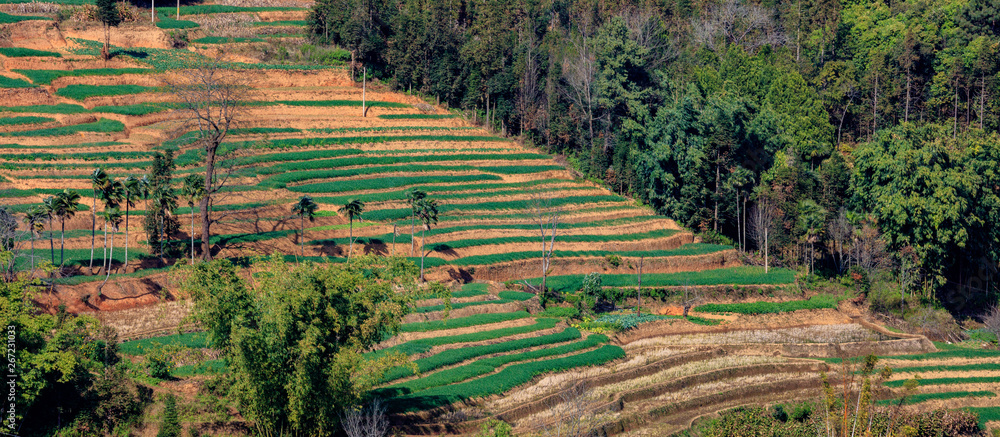 Honghe Yuanyang, Samaba Rice Terrace Fields - Baohua township, Yunnan ...