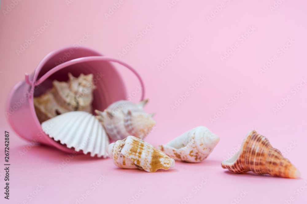 Sea shells of various sizes are scattered from a pink bucket on a pink ...
