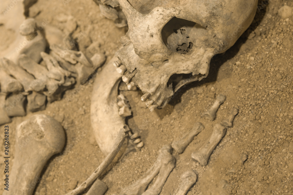 Archaeologists excavated the skeleton of a man of bones and skull with ...