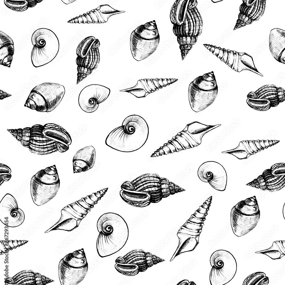 Seamless pattern of sea shells on white background. Manual graphics ...