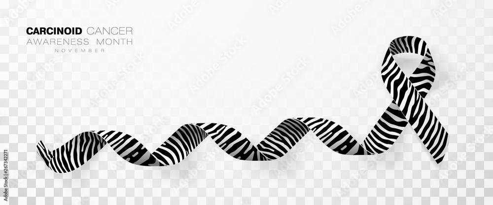 Carcinoid Cancer Awareness Month. Zebra Stripe Color Ribbon Isolated On ...