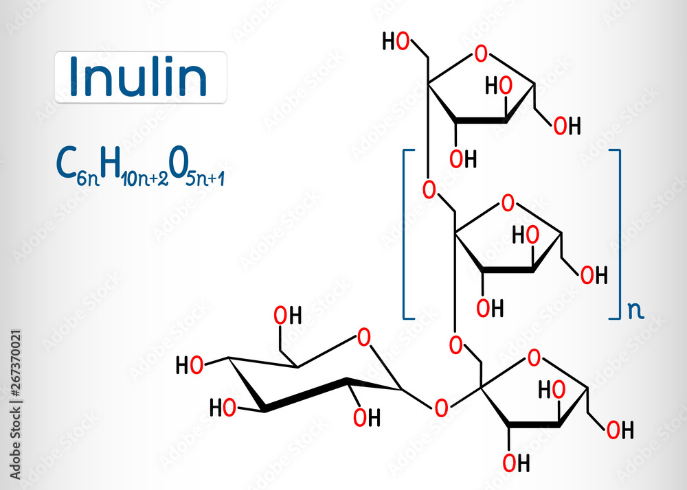 Inulin molecule. Structural chemical formula and molecule model Stock ...