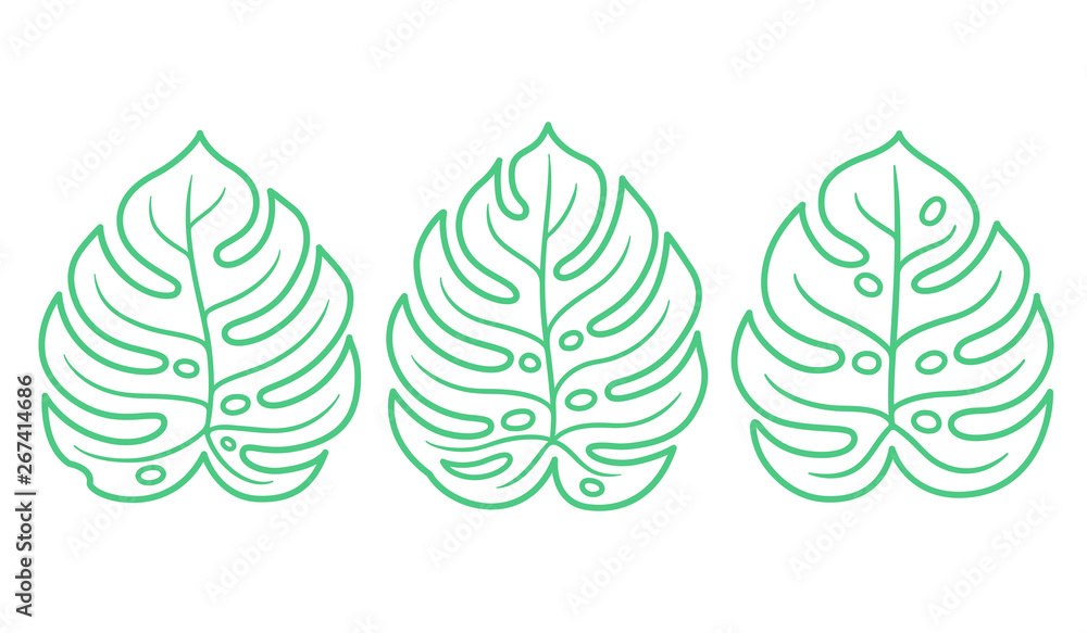 Monstera leaf drawing Stock Vector | Adobe Stock
