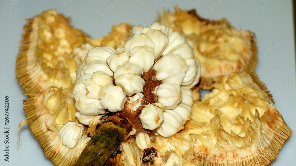 Tarap or Terap (Species: Artocarpus odoratissimus) is a fruit native to ...