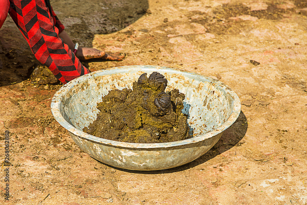 container full of cow dung used as natural fuel in indian villages ...