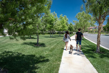 Neighborhood Walking Path Free Stock Photo - Public Domain Pictures