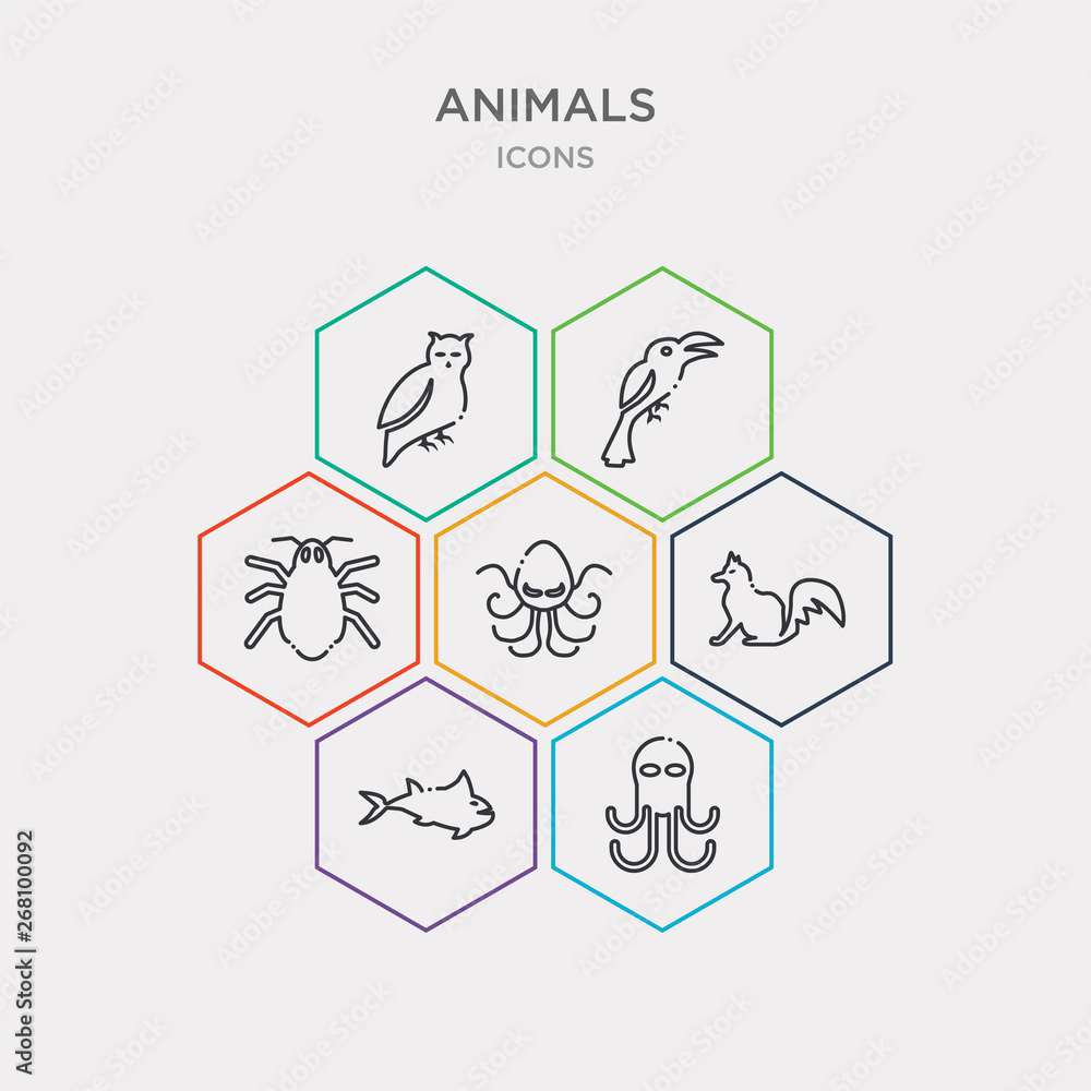 simple set of kraken, fish and a knife, fox sitting, aquarium octopus ...