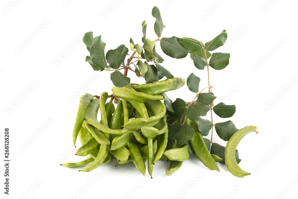 Photo Stock Green carob pods isolated on white background.Ceratonia ...
