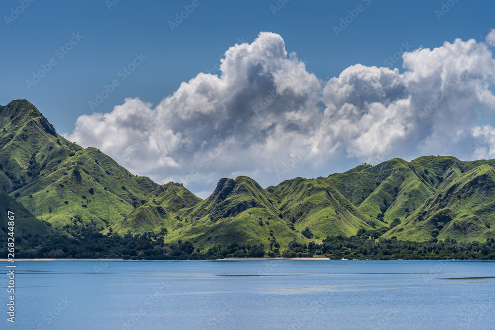 Photo Stock Komodo Island, Indonesia - February 24, 2019: Green ...