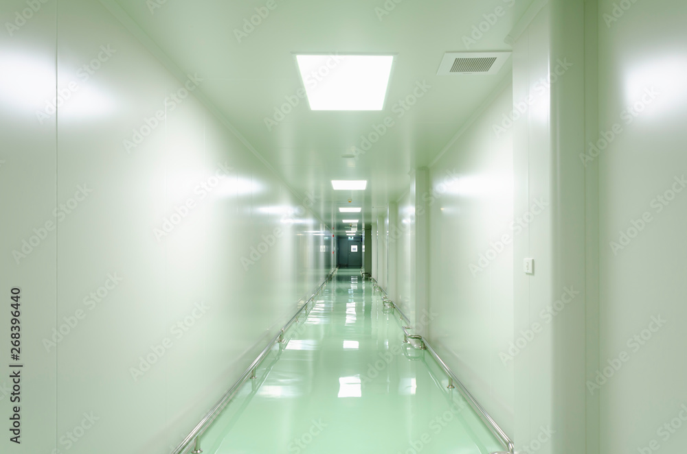 Corridors For Clean room pharmaceutical plant , Epoxy flooring ...