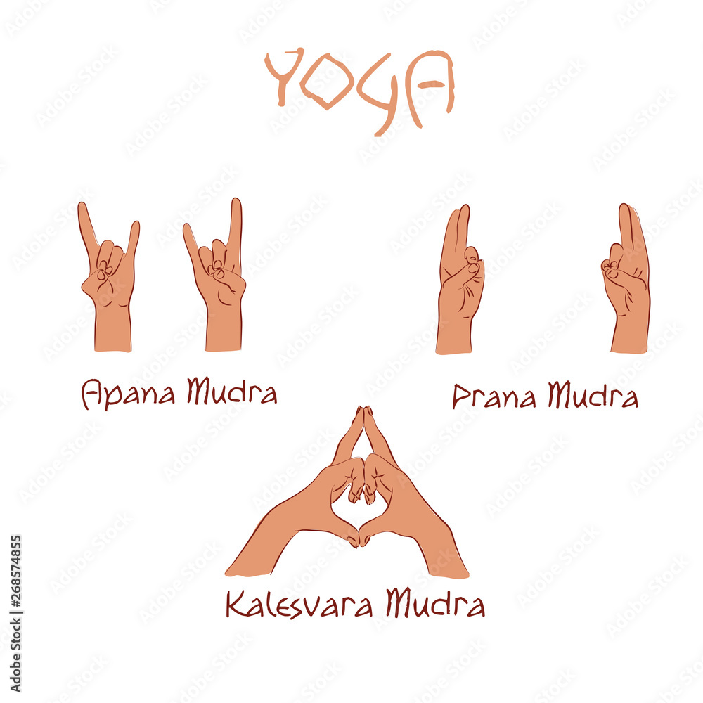 vector mudras hands color isolated line fingers Stock Vector | Adobe Stock