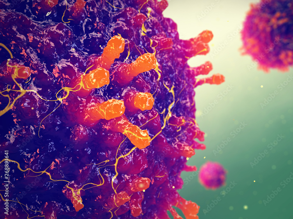 Measles also known as morbilli and rubeola is a highly contagious viral ...