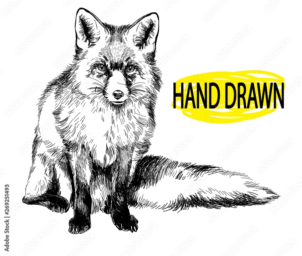 Vector de Stock Fox. Professional drawing in vintage style. Cute fluffy ...